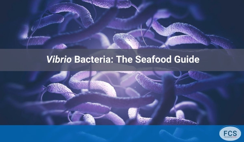 Vibrio Bacteria: The Seafood Guide | Food Consulting Services