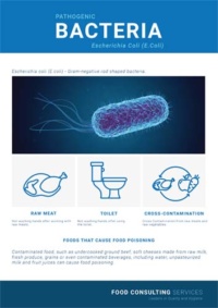 FCS Food Safety Posters | Food Consulting Services